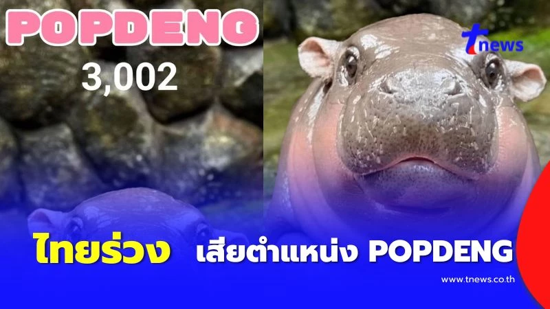 "popdog. click" ไทยเสียตำแหน่ง "popdog click หมูเด้ง" ใครว่างมาทวงเบอร์ 1 คืน