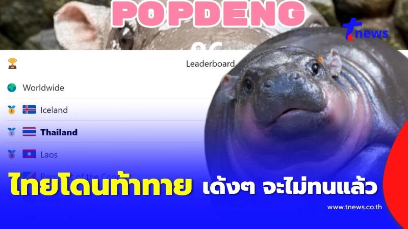 "ป๊อบเด้ง" เวลานี้เหมาะมาก "popdog click หมูเด้ง" ไทยแลนด์รัว "popdog. click"